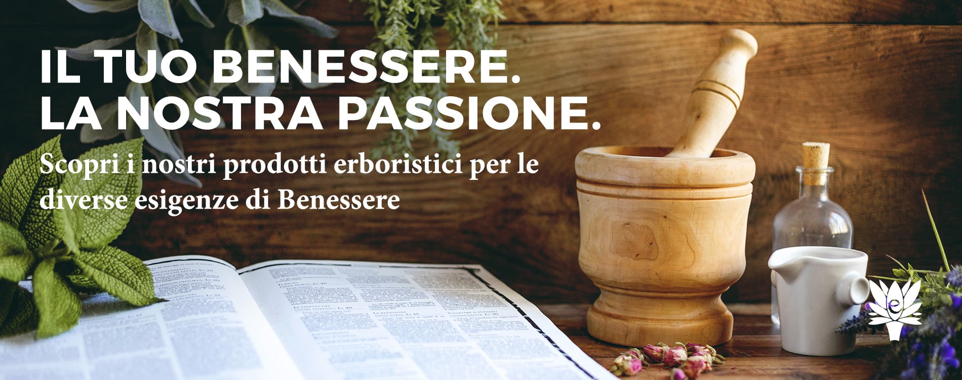 Piante Erbe Officinali, Medicinali, Aromatiche: Elenco e Schede
