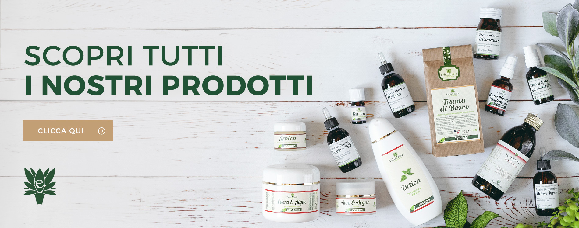 Piante Erbe Officinali, Medicinali, Aromatiche: Elenco e Schede