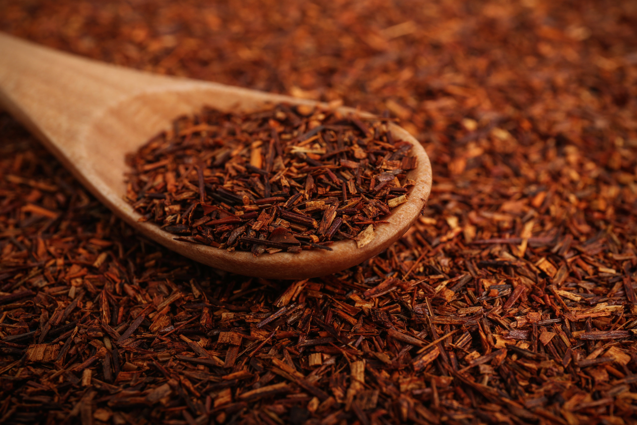 Rooibos Tè Rosso: proprietà, benefici, usi Aspalathus Linearis